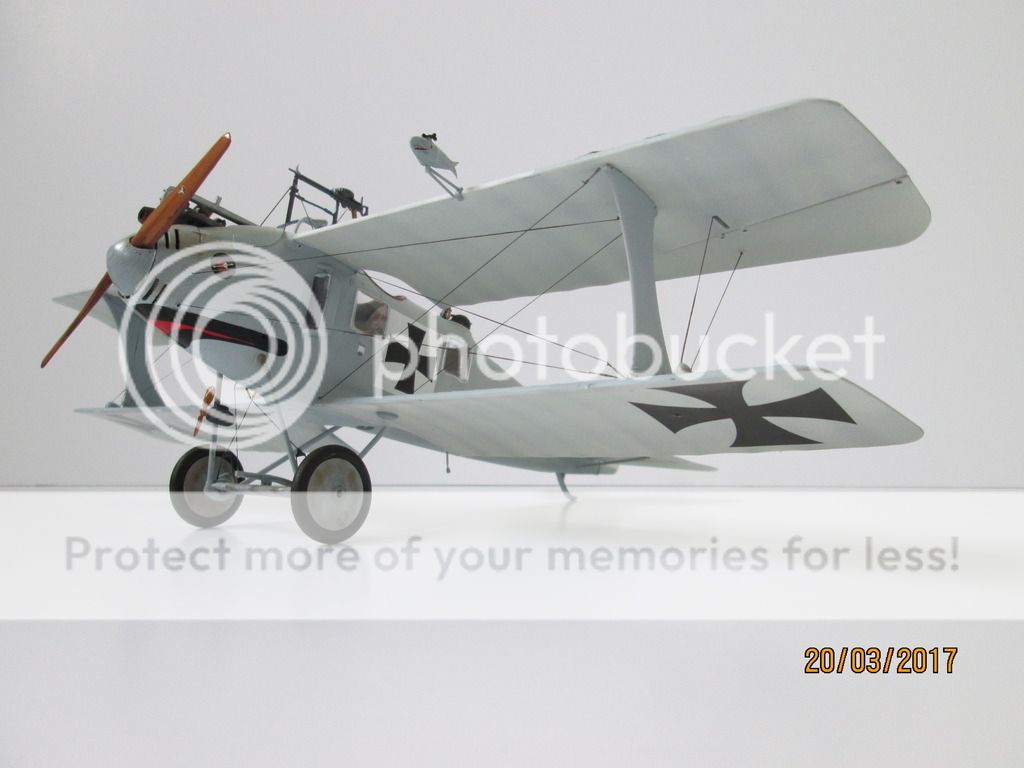 Wingnut Wings Roland C.II - Ready for Inspection - Aircraft ...