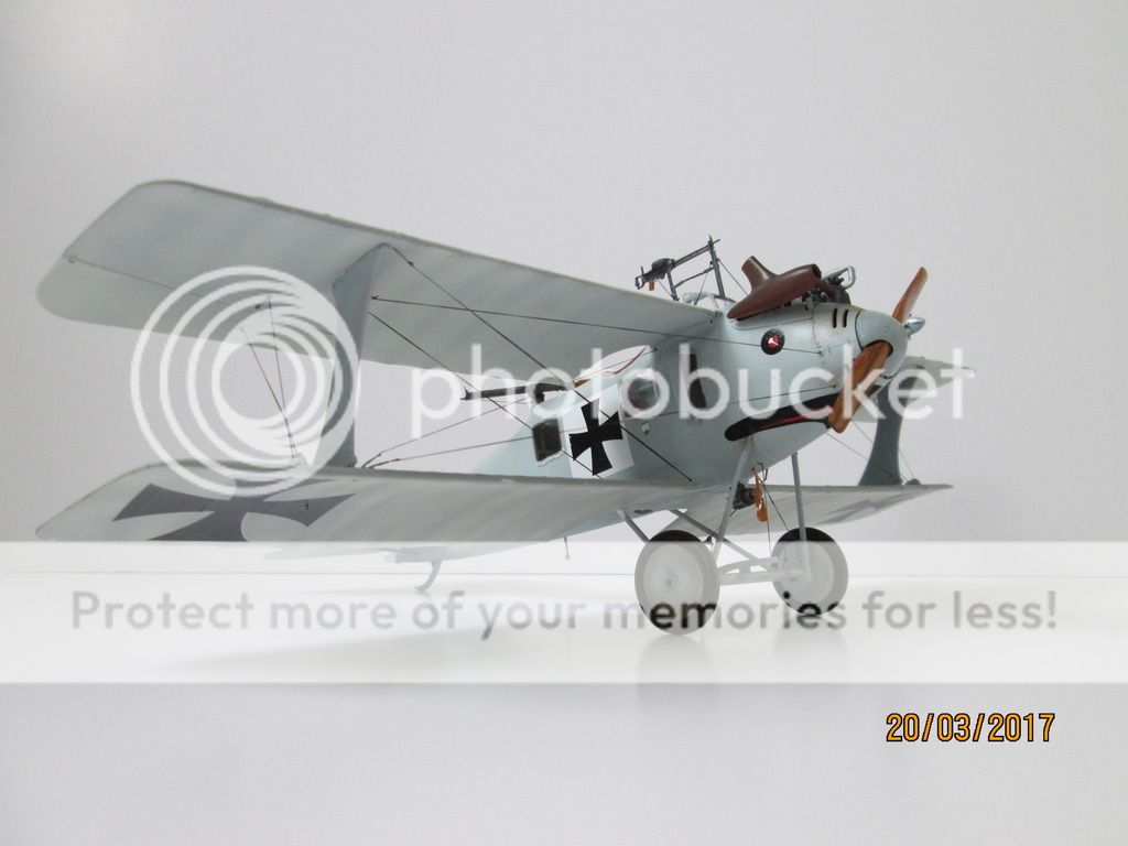 Wingnut Wings Roland C.II - Ready for Inspection - Aircraft ...