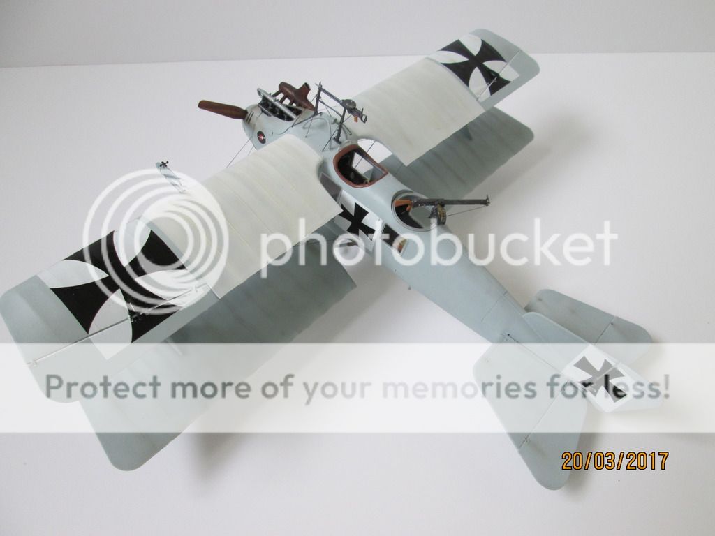 Wingnut Wings Roland C.II - Ready for Inspection - Aircraft ...